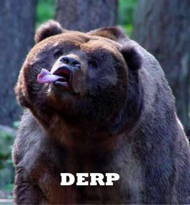 Hilarious Derp Memes