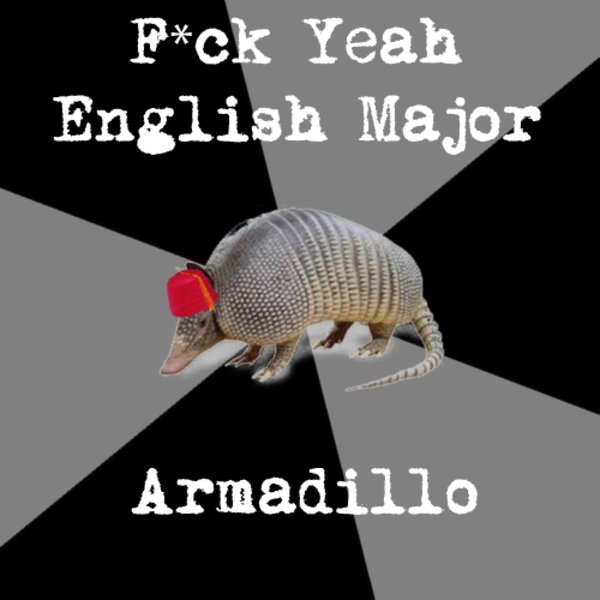 Memes About Armadillos