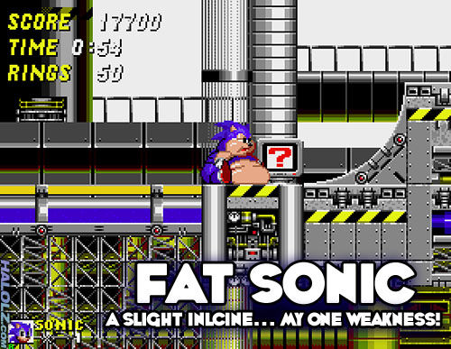 Fat Sonic the Hedgehog | Know Your Meme