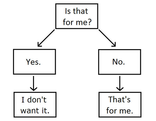 Dogs Vs. Cats : r/funny