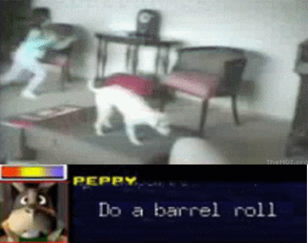 [Image - 254] | Do A Barrel Roll | Know Your Meme
