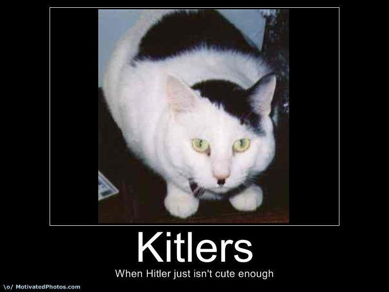 [Image - 64294] | Kitler | Know Your Meme