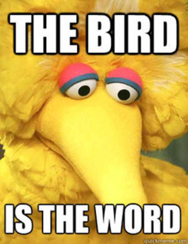 The Bird is the Word | Fired Big Bird / Mitt Romney Hates Big Bird ...