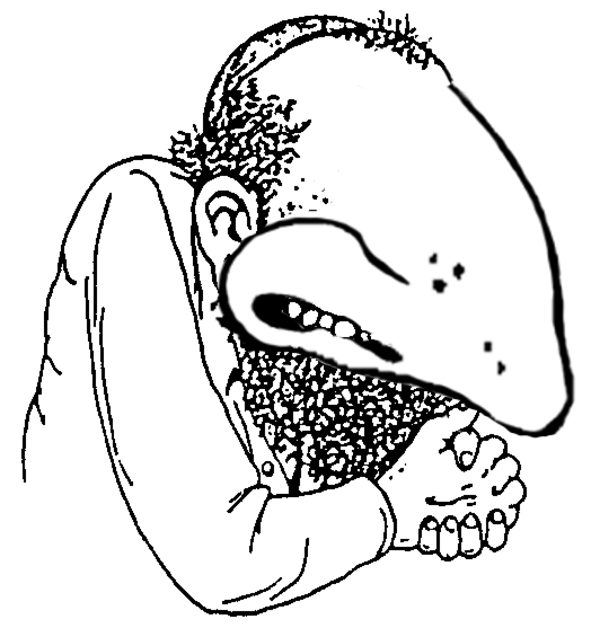 [Image - 426131] | Happy Merchant | Know Your Meme