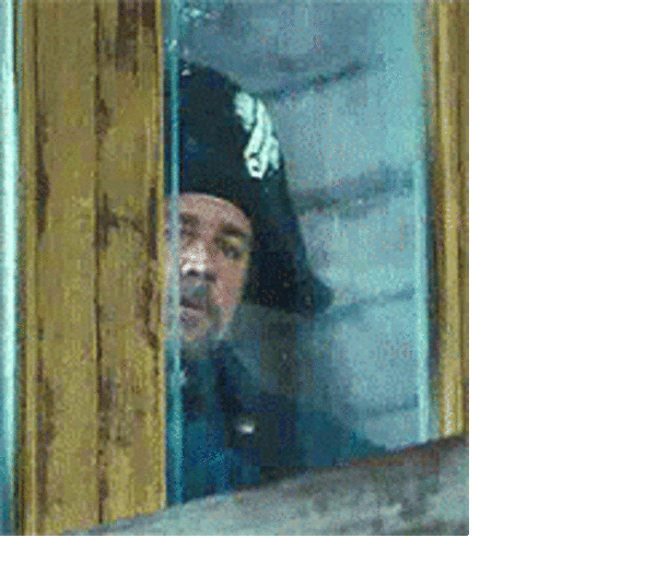 [Image - 878553] | Javert Reaction GIFs | Know Your Meme