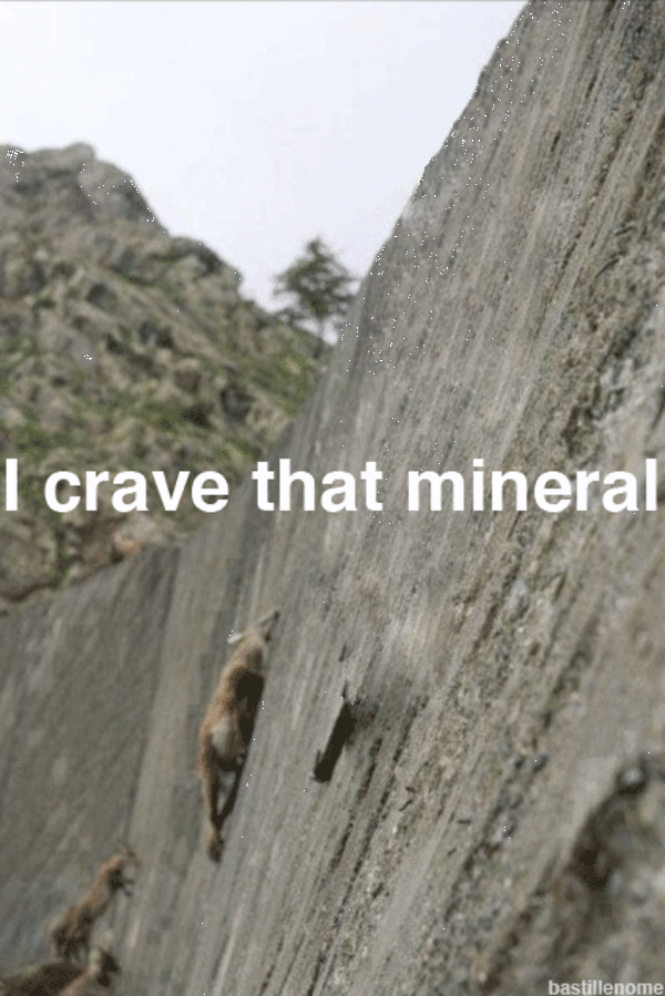 I Crave That Mineral Gif | I Crave That Mineral | Know Your Meme