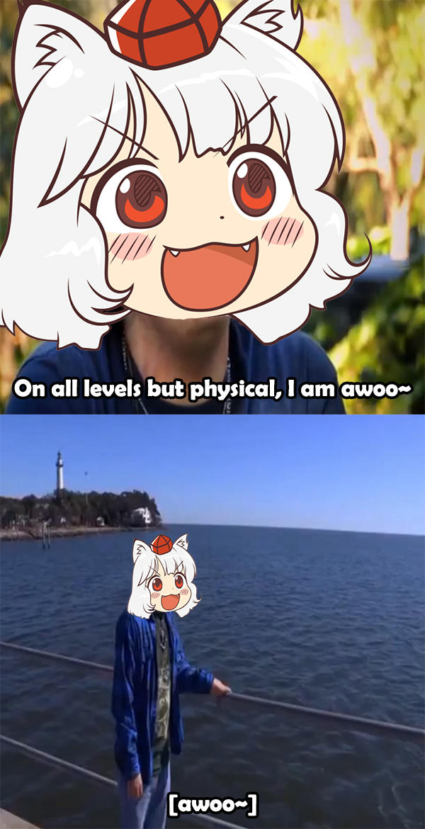Awooo | On All Levels Except Physical, I am a Wolf | Know Your Meme