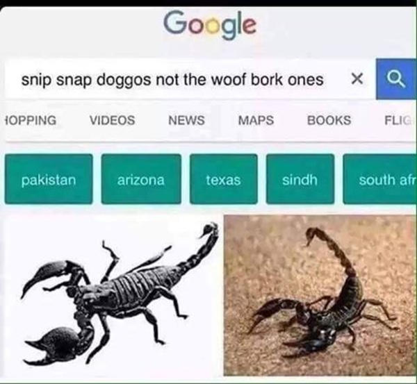 snip snap doggos not the woof bork ones | Doggo | Know Your Meme