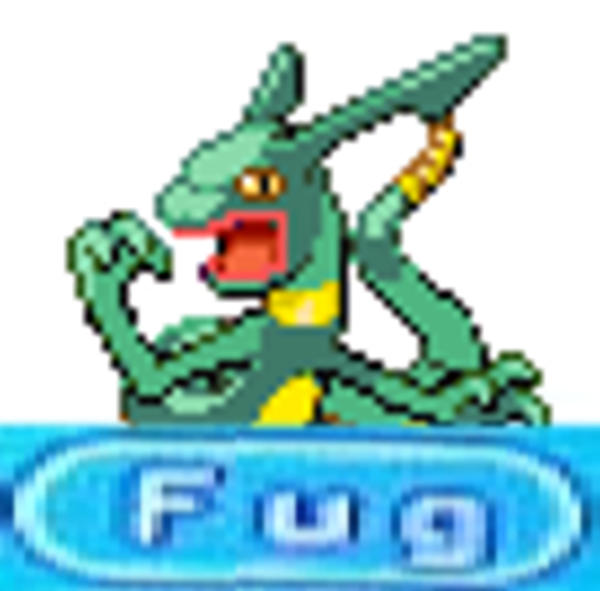 Pokemon Fug Memes