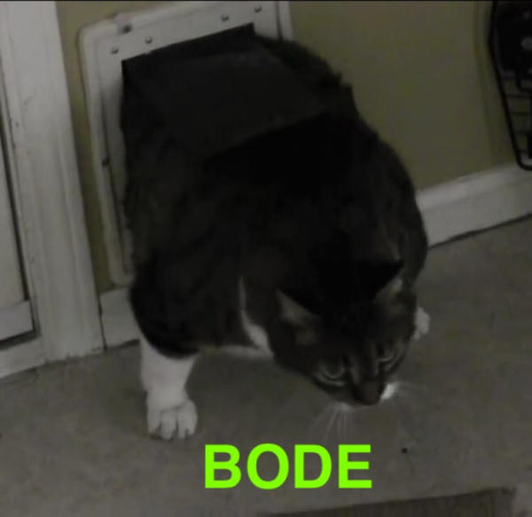 BODE | BODE | Know Your Meme