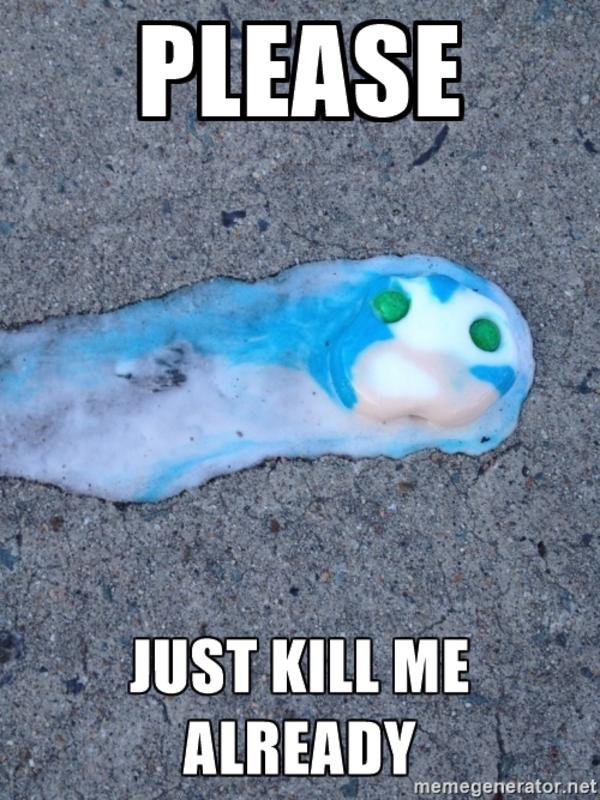 Sonic Deathsicle | Kill Me | Know Your Meme