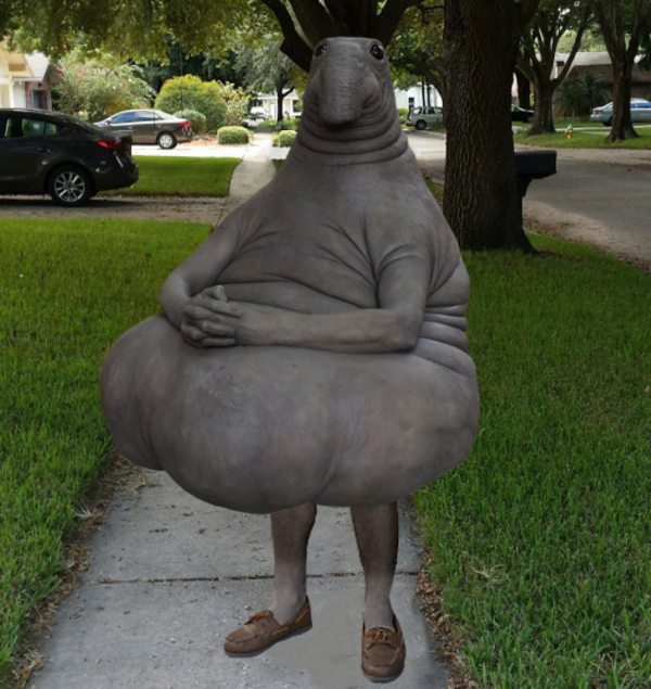 You know I had to snorp it to them | Zhdun/Snorp | Know Your Meme
