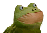 Get Out Frog / Frogout / Me Obrigue | Know Your Meme