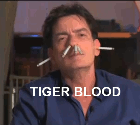 Would you rather fight a tiger on land or a great white in the ocean ...