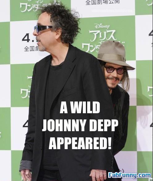 Google search - johnny depp memes | Johnny depp funny, Johnny depp ...