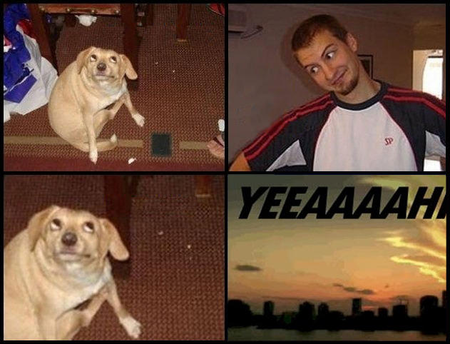 oh you dog - ekşi sözlük