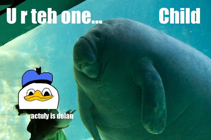 Overlord Manatee Meme