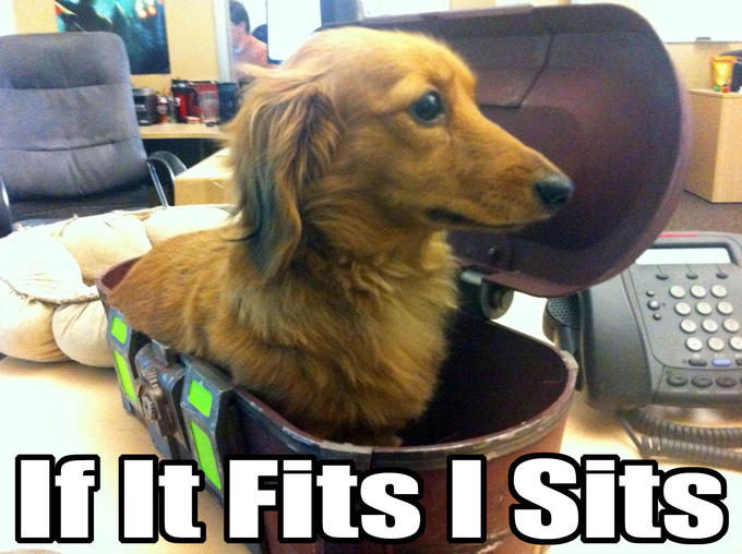 [Image - 387660] | If It Fits I Sits | Know Your Meme