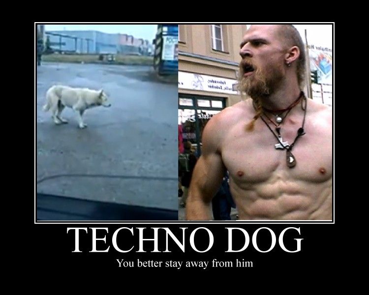 [Image - 50165] | Techno Dog | Know Your Meme