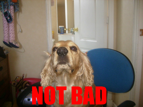 [Image - 224488] | Obama Rage Face / Not Bad | Know Your Meme