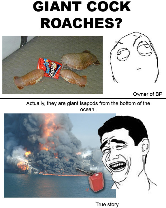Funny Bp Memes