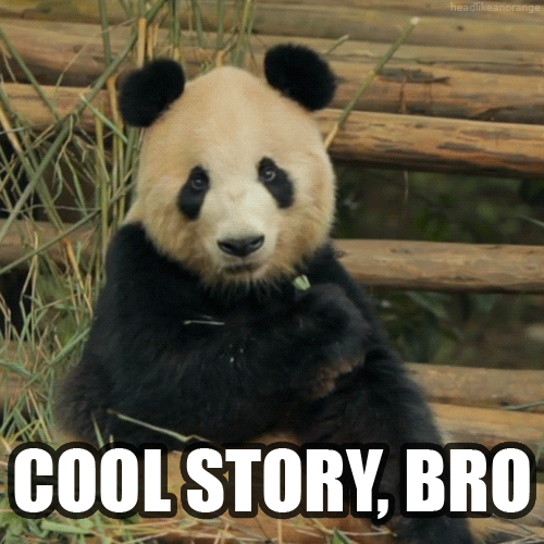 [Image - 479789] | Cool Story, Bro | Know Your Meme