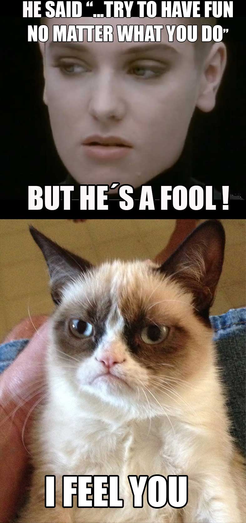 Grumpy Cat Retirement Memes