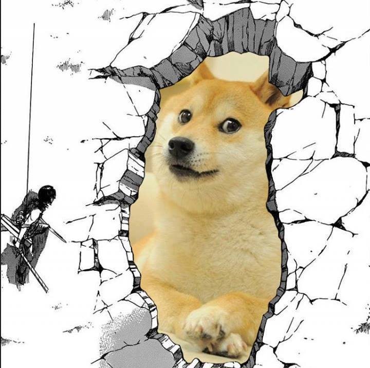 Shingeki no Doge | Attack on Titan / Shingeki No Kyojin | Know Your Meme
