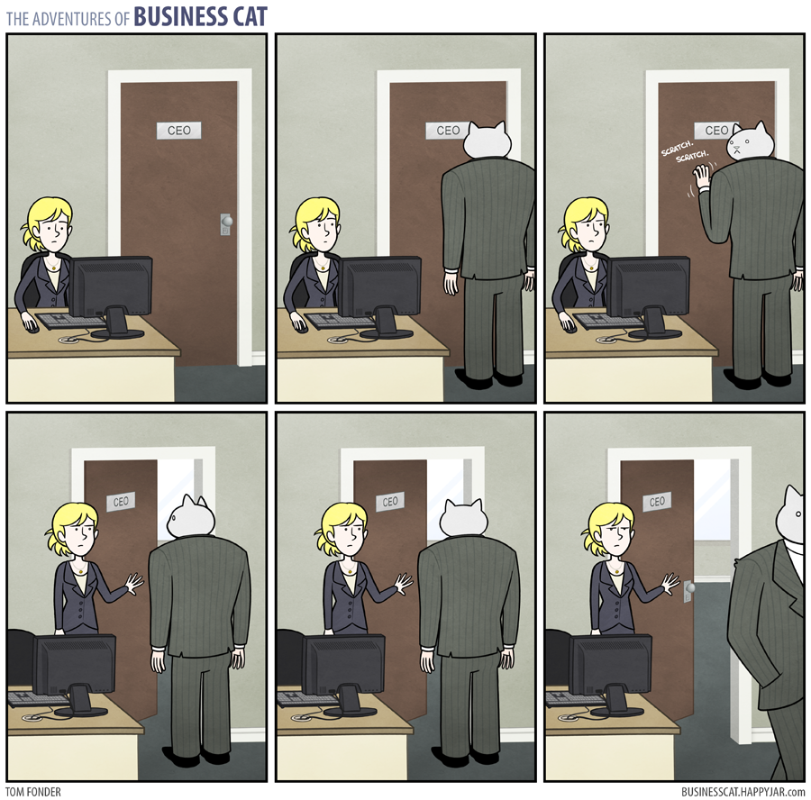 [Image - 841321] | Cats | Know Your Meme