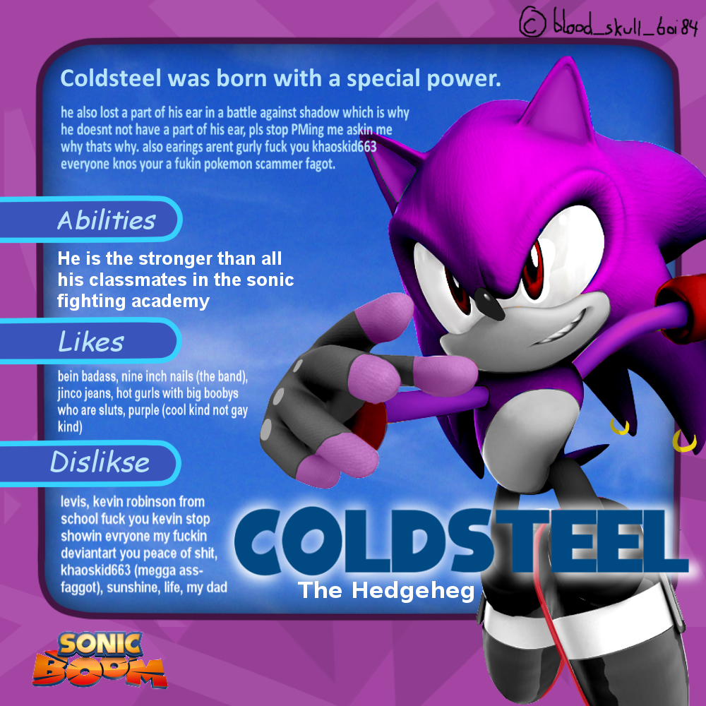 Coldsteel sonic boom | Coldsteel The Hedgeheg | Know Your Meme