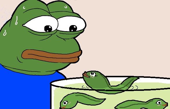 daddy! | Pepe the Frog | Know Your Meme