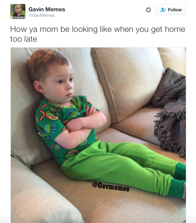 Gavin Memes | Gavin | Know Your Meme